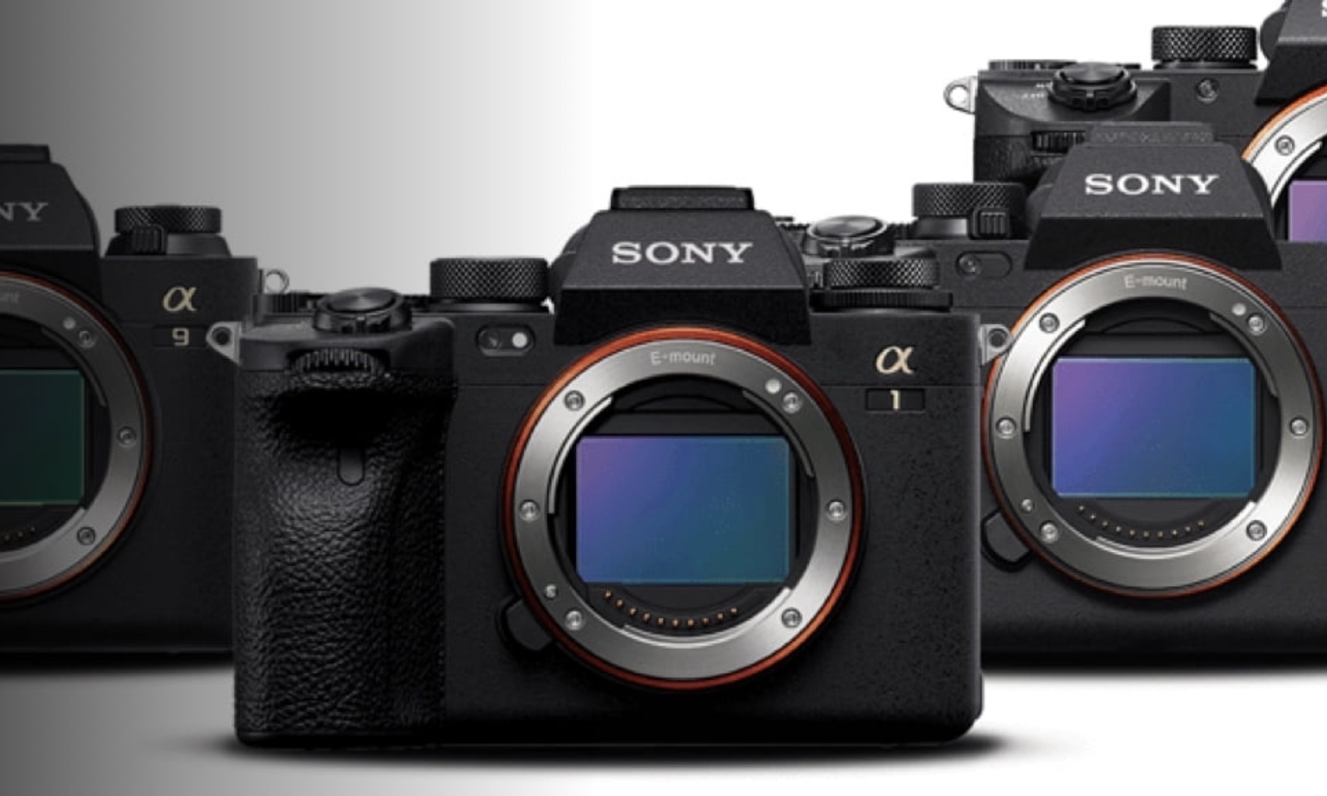 索尼a7R5，站在了继续堆料和计算摄影的十字路口 - 雷科技