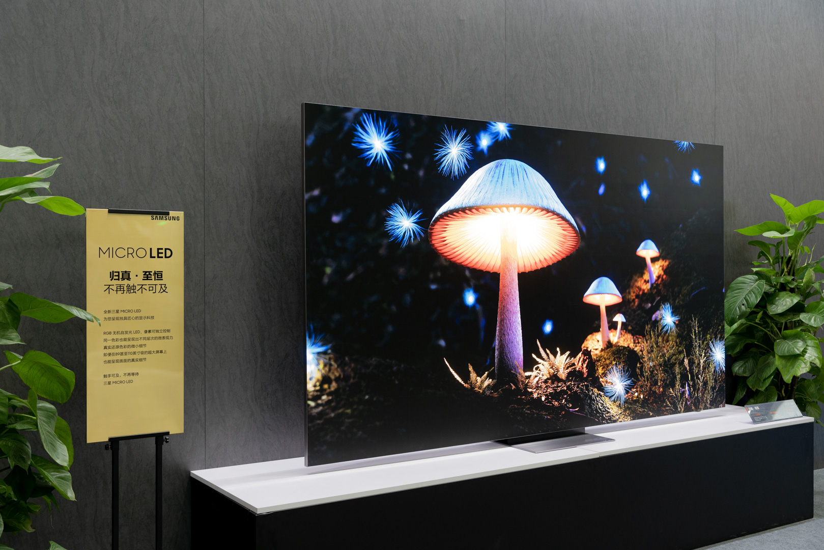 UDE 2023观察：卷完技术，国产显示品牌开始卷生态了 - 雷科技